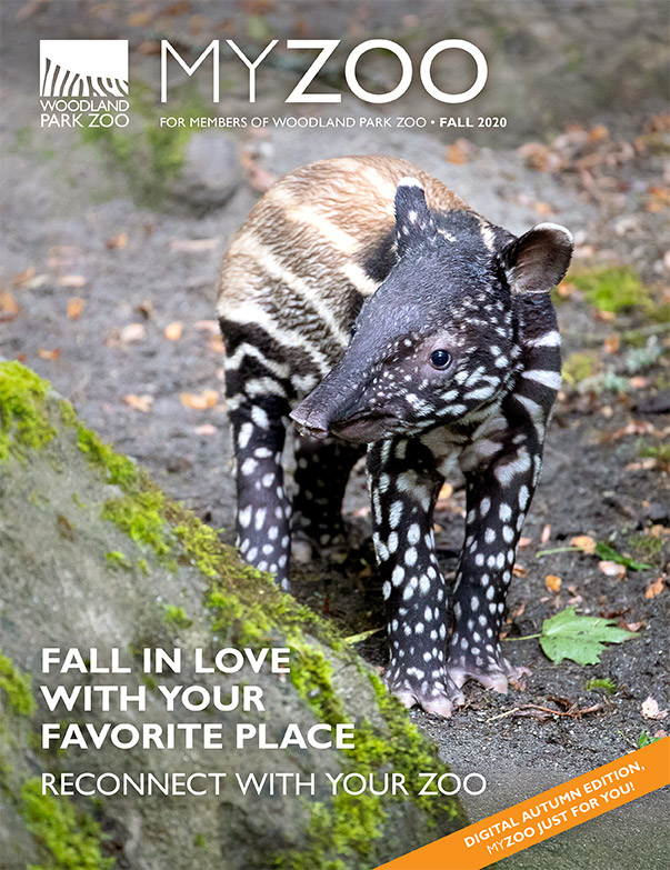 MyZoo Member Magazine - Woodland Park Zoo Seattle WA