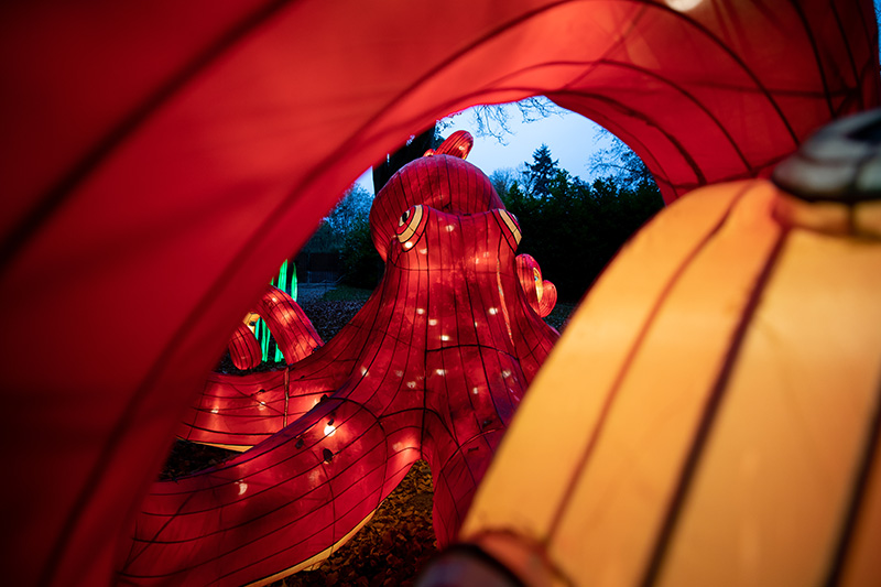 Event Calendar - Woodland Park Zoo Seattle WA