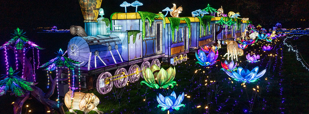 Event Calendar - Woodland Park Zoo Seattle WA