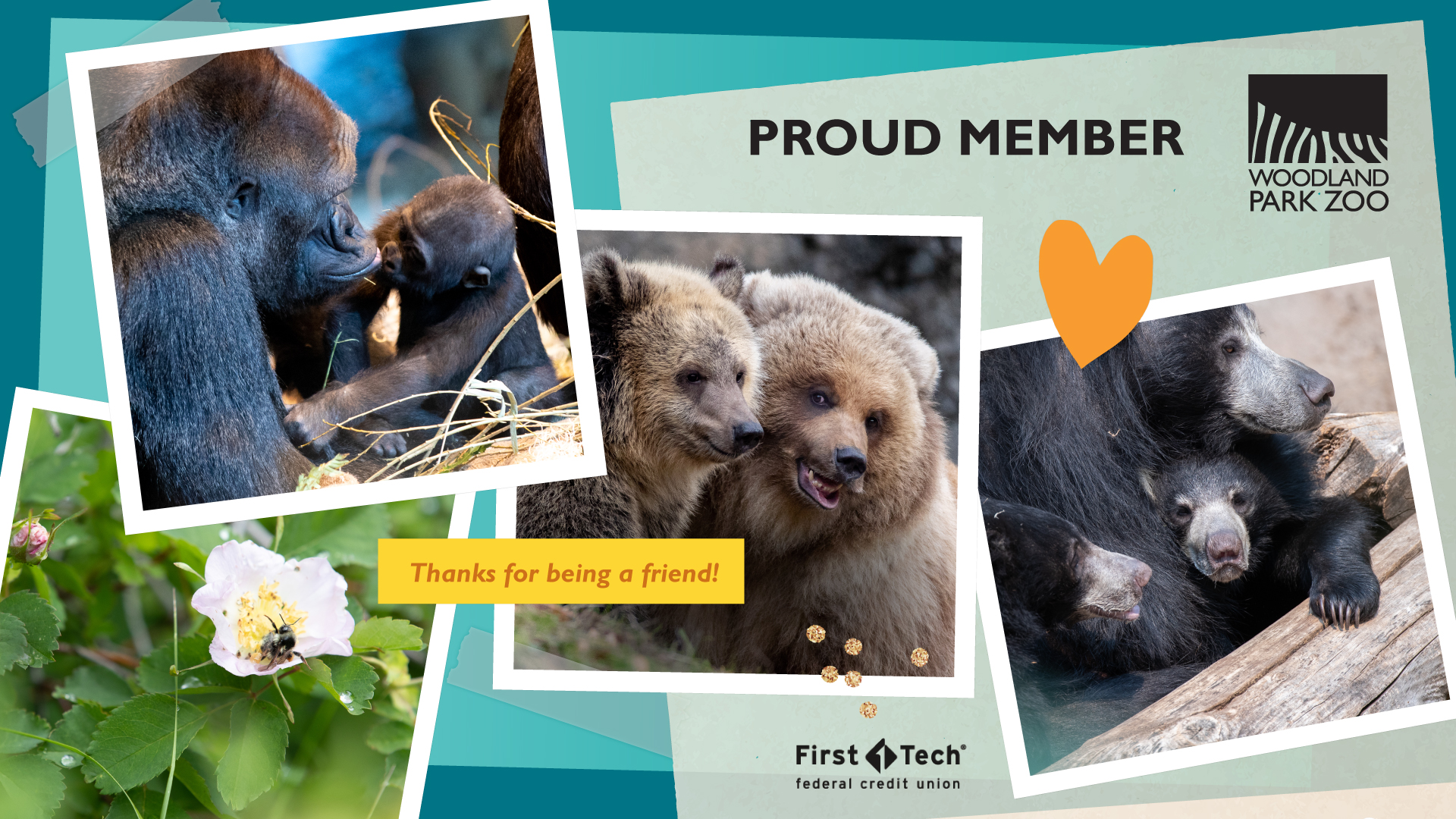 Zoofari - Woodland Park Zoo Seattle WA