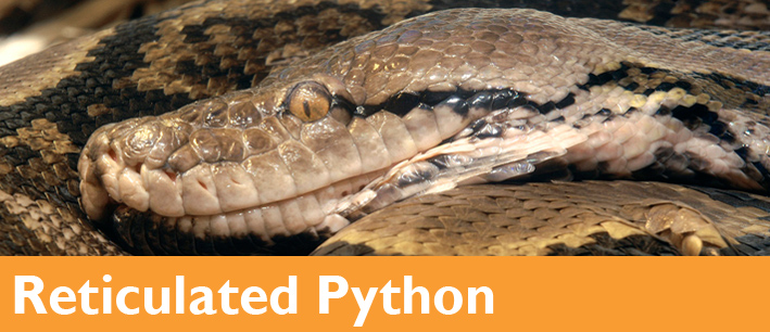 Reticulated Python - Woodland Park Zoo Seattle WA